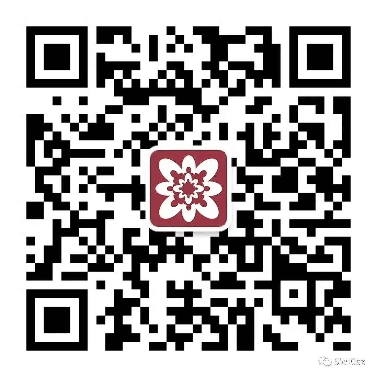 Shenzhen Women’s International Club (SWIC) - Now Shenzhen