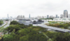 Shenzhen to Build International Mangrove Wetland Center - Now Shenzhen