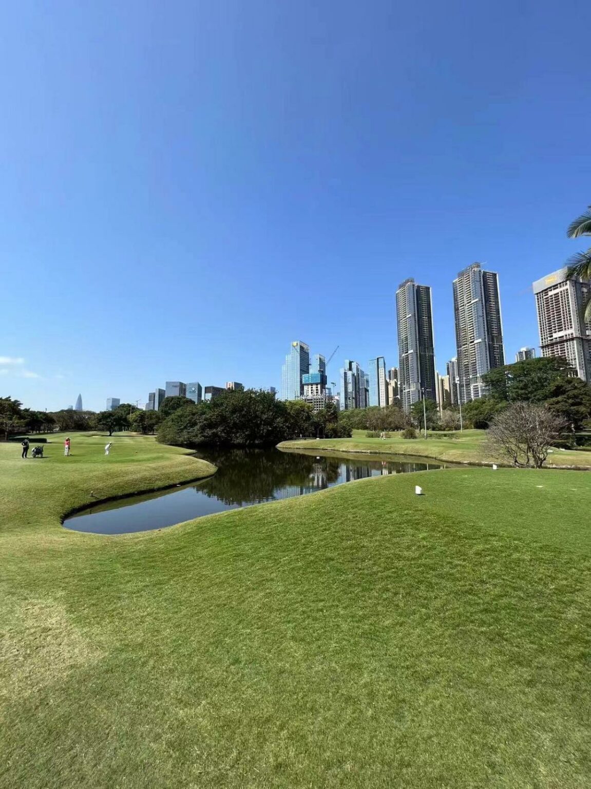 Experience Shenzhen's Elite Golfing Escapes - Now Shenzhen